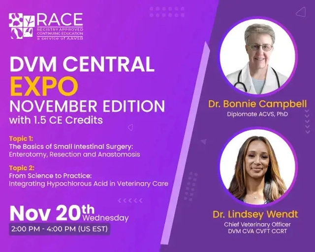 DVM Central Expo November Edition on Dog & Cat Surgery 2025