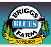 Briggs Farm Blues Festival 2026