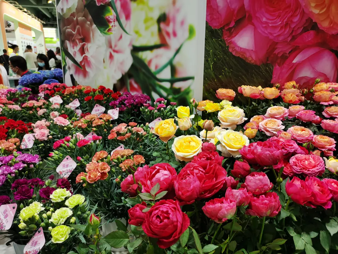 Asia Floriculture & Horticulture Trade Fair (Flower Expo Asia) 2025